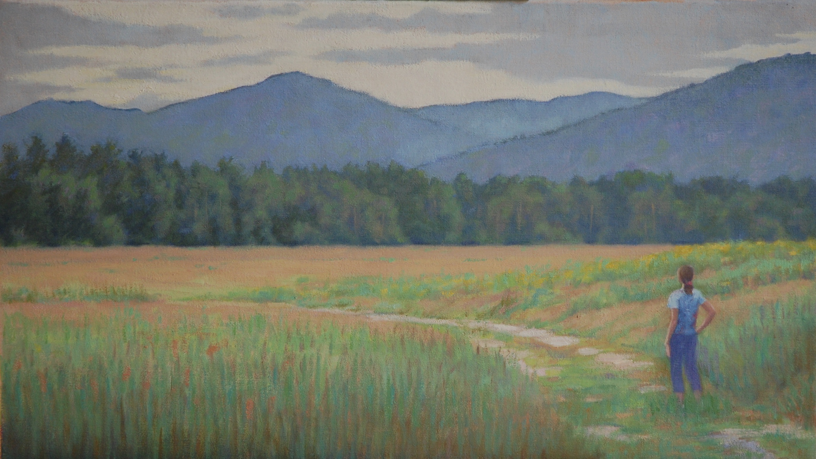 Susan Murray Stokes - Portrait Artist - Susan Murray Stokes
