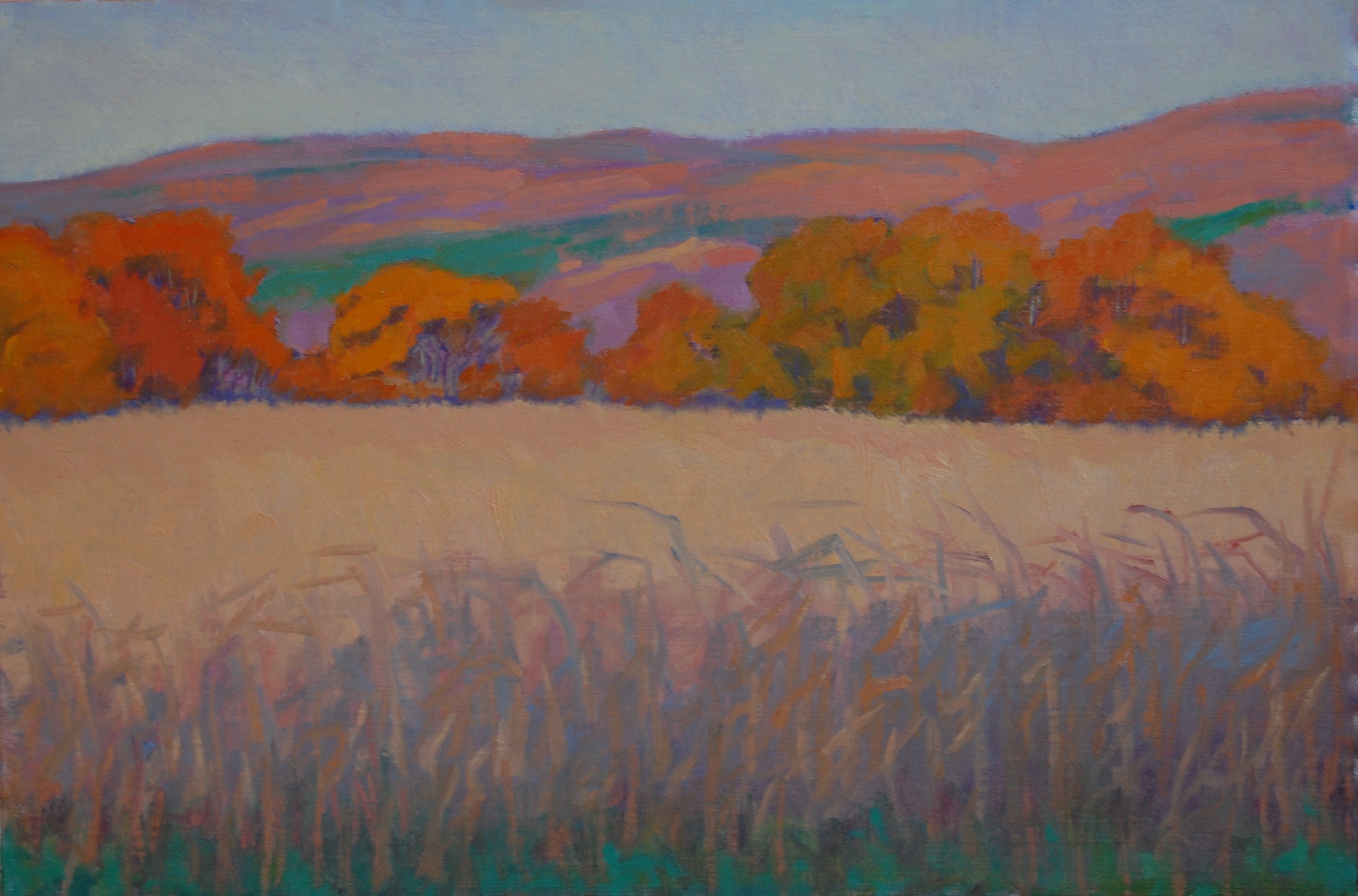 Susan Murray Stokes - Portrait Artist - Susan Murray Stokes